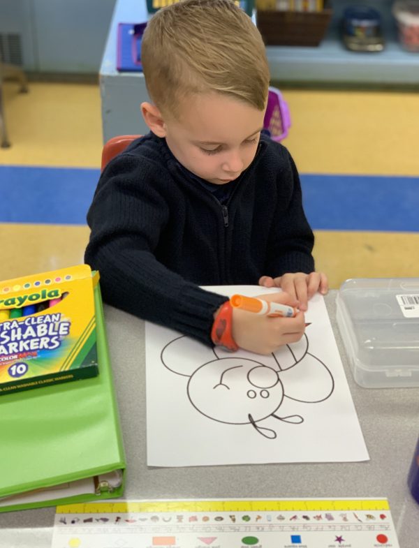 Holy Cross Catholic School - Holy Cross Catholic School